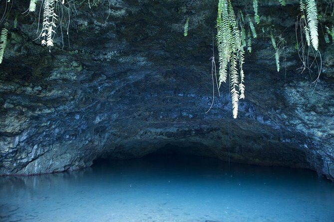 Amazing attractions of Tahiti charming island  Private half day circle tour - A Practical Look at the Private Half-Day Tour of Tahiti