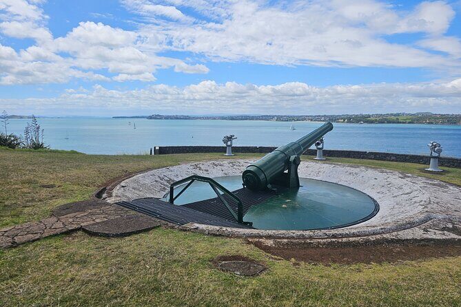 Amazing Auckland City Half Day Guided Tour - Discovering Auckland in a Short Time