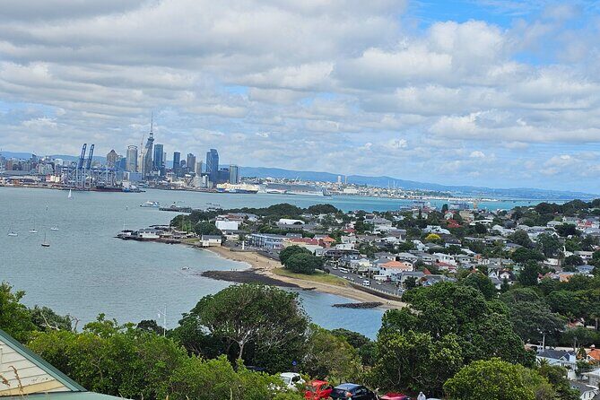 Amazing Auckland City Half Day Guided Tour - What Travelers Say