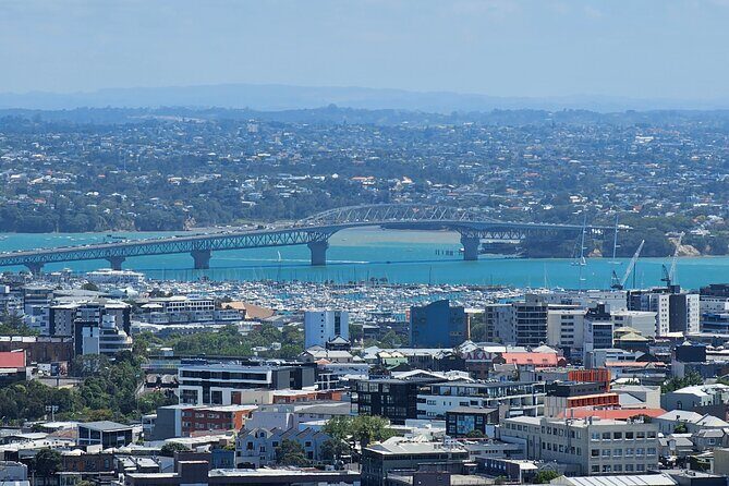 Amazing Auckland City Half Day Guided Tour - Analyzing the Value