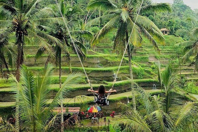 Amazing Bali Tour With 6 Places - Value for Money