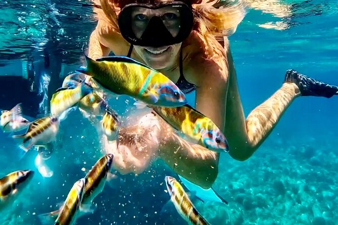 Amazing boat trip from Tropea to Capo Vaticano - 6 to 12 people - Key Points