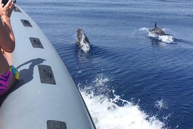 Amazing boat trip from Tropea to Capo Vaticano - 6 to 12 people - Who Is This Tour Best For?