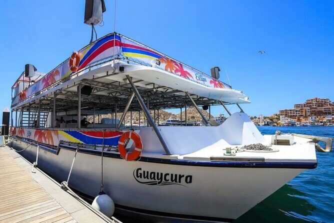 Amazing Cabo and Snorkel Adventure - What to Expect on the Boat
