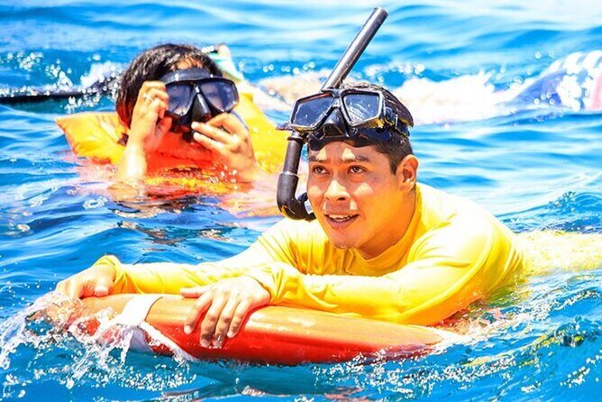Amazing Cabo and Snorkel Adventure - Who Will Love This Tour?