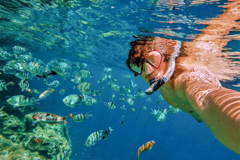 Amazing Cabo and Snorkel Adventure - The Sum Up