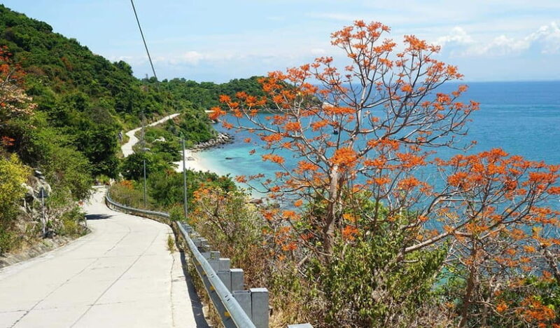 Amazing Cham Island Snorkeling Tour From Hoi An or Da Nang - FAQ