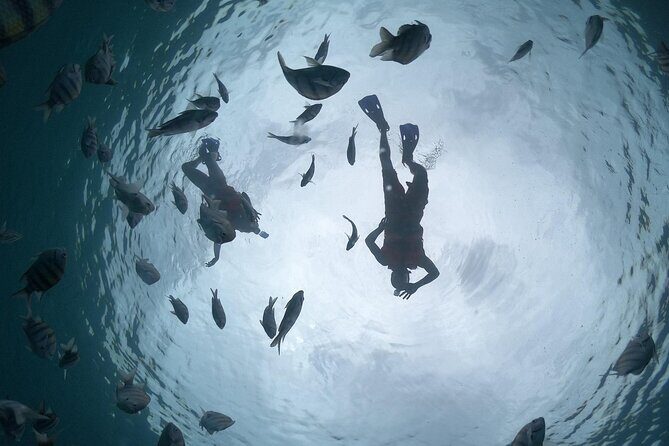 Amazing Clear Boat Adventure and Unlimited Beach Break with Lunch - The Itinerary in Detail