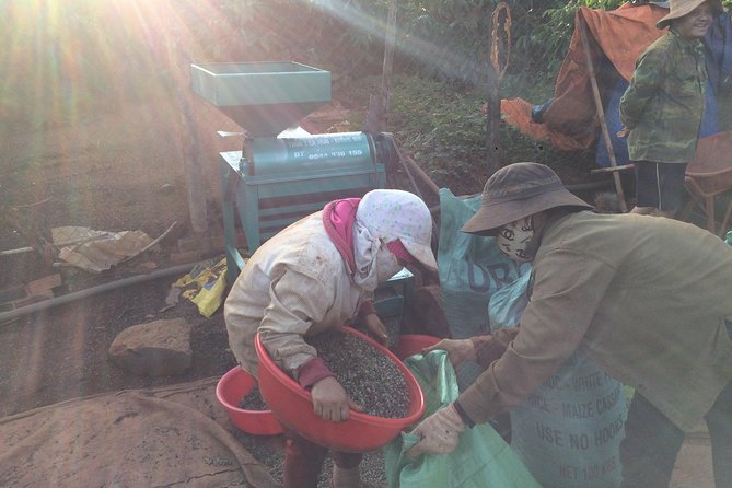 Amazing Coffee full-day tour in Buon Ma Thuot - Daklak - Who Will Love This Tour?