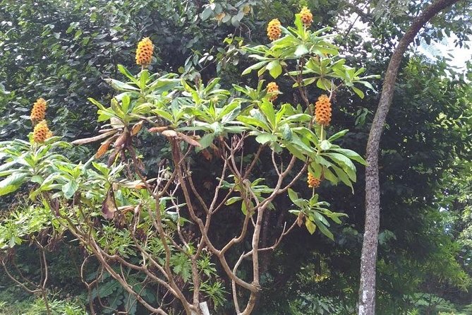 Amazing East Tour - Itinerary Highlights