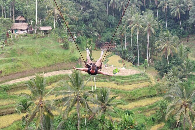 Amazing Experience ATV Quad Bike with Bali Swing - What the Tour Means for You