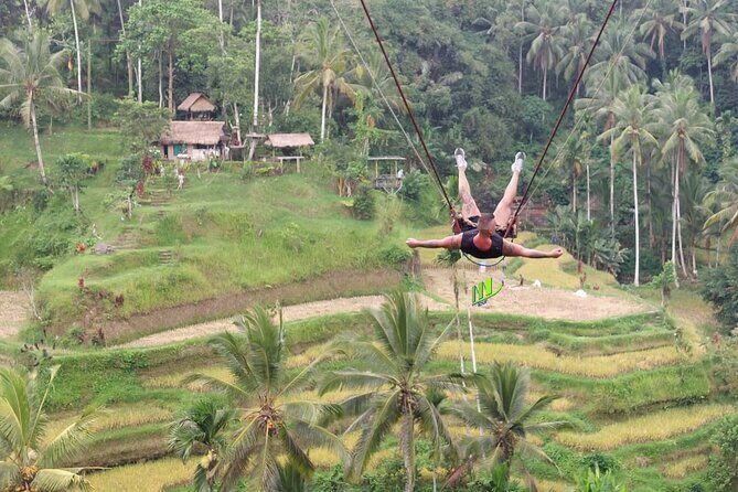 Amazing Experience ATV Quad Bike with Bali Swing - Who Will Love This Tour?