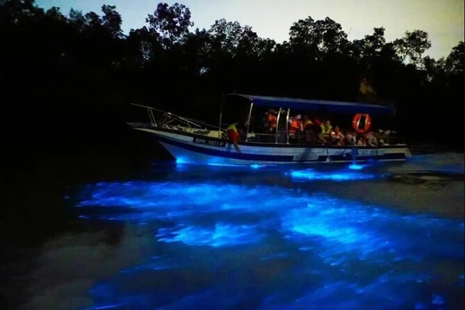 Amazing Fireflies With Blue Tears Watching & Kuala Selangor Tour - What’s Included and What’s Not