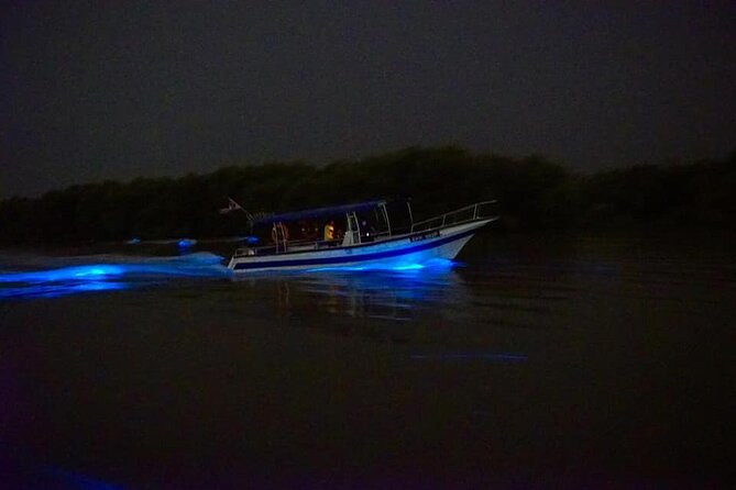 Amazing Fireflies With Blue Tears Watching & Kuala Selangor Tour - FAQs