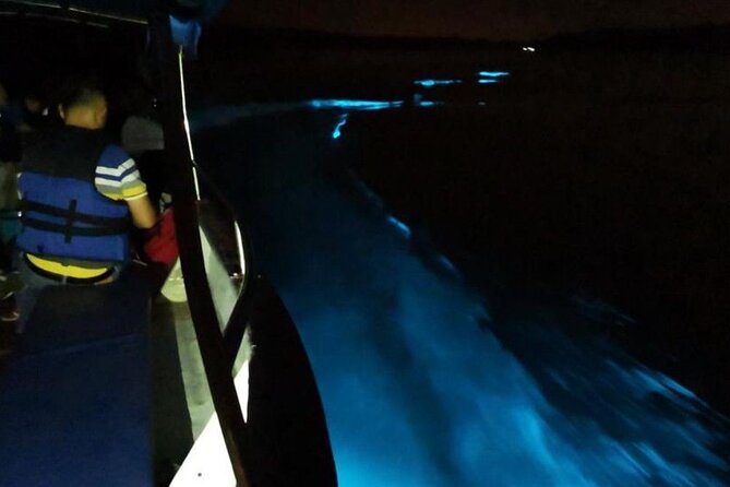 Amazing Fireflies With Blue Tears Watching & Kuala Selangor Tour - Final Thoughts