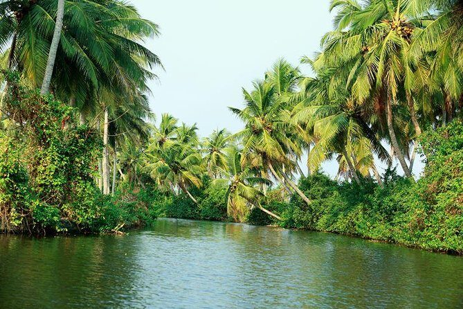 Amazing Half priced private guided tour in Kochi ! - Authenticity and Value