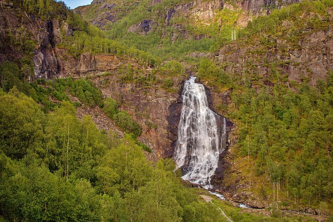 AMAZING HARDANGER FJORD: Private guided round trip from Bergen, 10 hours - Who Should Book This Tour?