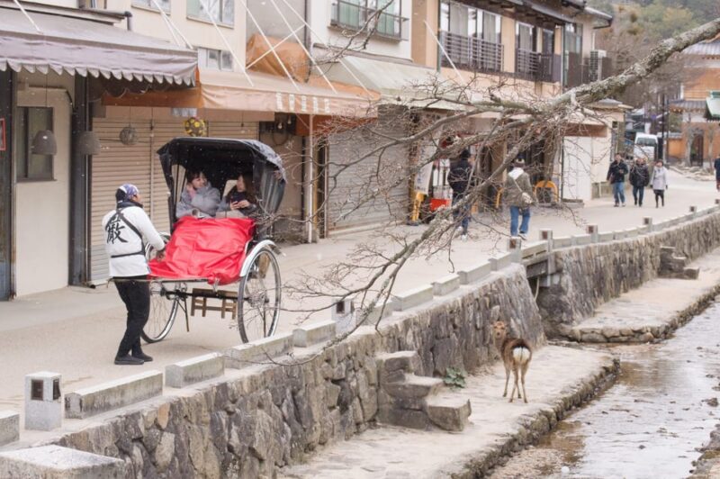 Amazing Hiroshima: Private City Tour With a Local Guide - Exploring the Spiritual Haven of Miyajima Island