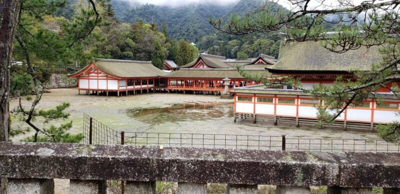 Amazing Hiroshima: Private City Tour With a Local Guide - Customer Testimonials: Unforgettable Hiroshima Memories