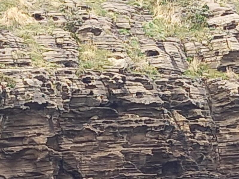 Amazing JeJu Volcano island, Korea - Flexable Taxi tour - Final Thoughts