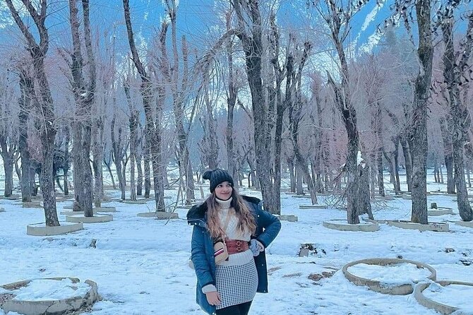 Amazing Kashmir Tour - 03 Nights & 04 Days - Authentic Experiences That Shine