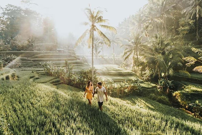 Amazing Kintamani Ubud Tour with Overlook Volcano View - Key Points