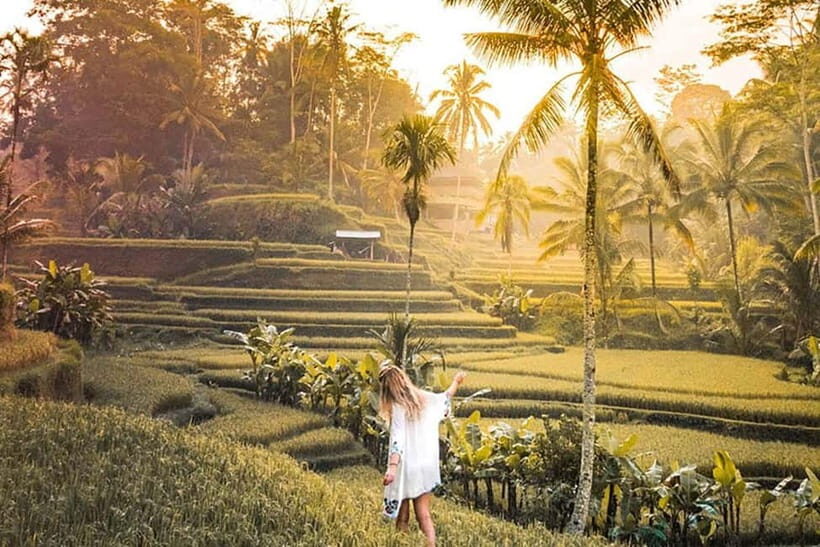 Amazing Kintamani Ubud Tour with Overlook Volcano View - Discover Bali’s Natural Beauty with the Tegalalang Rice Terraces
