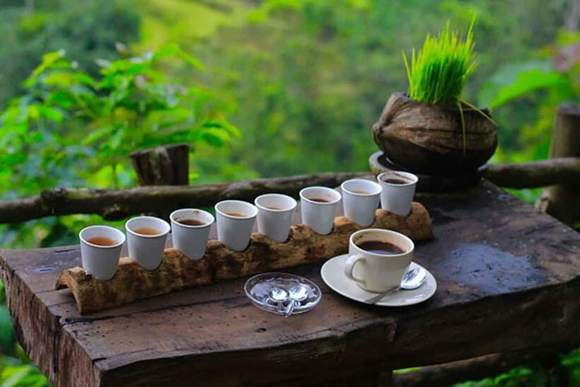 Amazing Kintamani Ubud Tour with Overlook Volcano View - FAQ