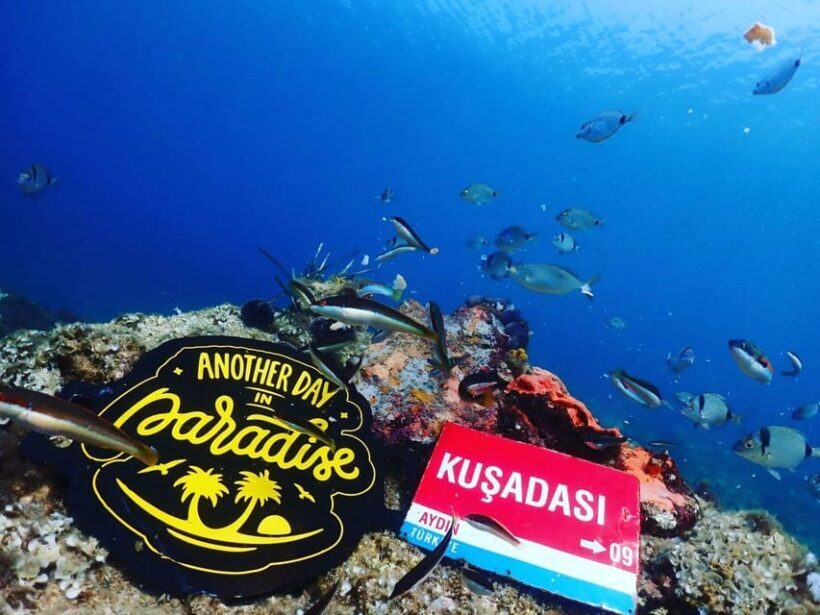 AMAZING KUSADASI SCUBA DIVING - Practical Details and Tips for Travelers