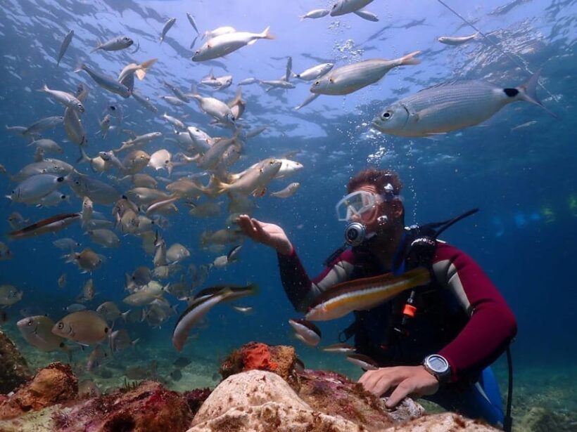 AMAZING KUSADASI SCUBA DIVING - The Sum Up: Who Should Consider This Tour?