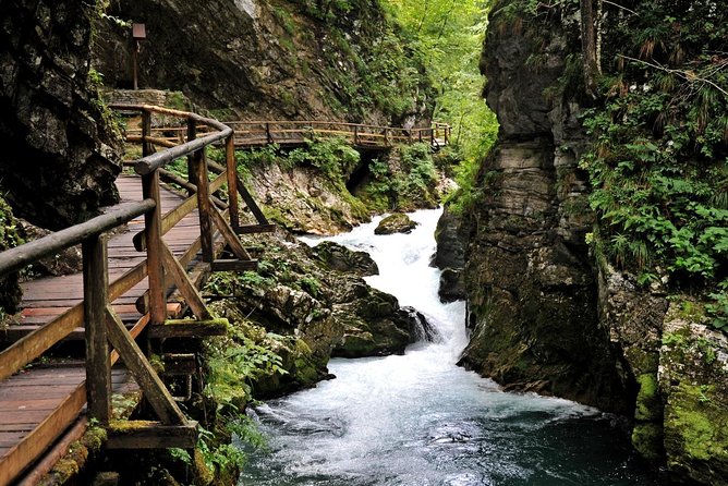 Amazing Lake Bled and Ljubljana - Private Tour From Trieste - Customer Reviews and Feedback