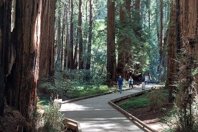 Amazing Muir Woods and Sausalito Tour - The Sum Up