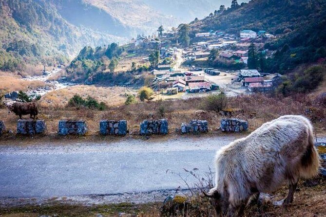 Amazing North Sikkim 2 Nights 3 Days - An In-Depth Look at the Itinerary