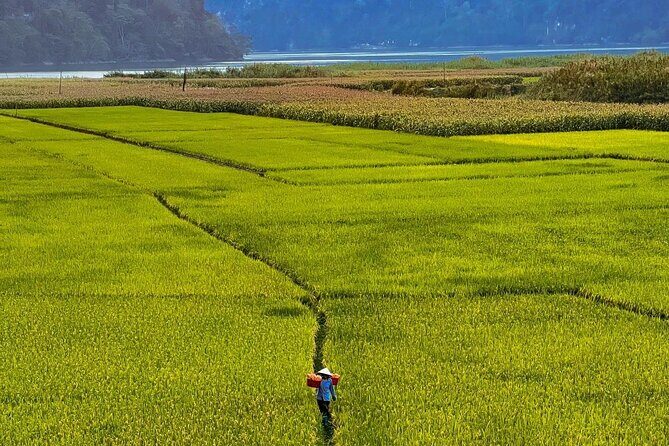 Amazing North VN: Ba Be National Park -Biggest Natural Freshwater - Who Will Love This Tour?