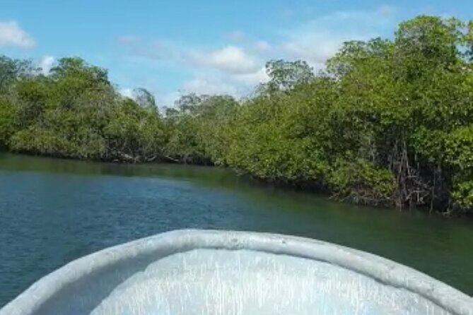 Amazing Paradise Island + Snorkeling-Mangrove Tour & Locale Food. - FAQ
