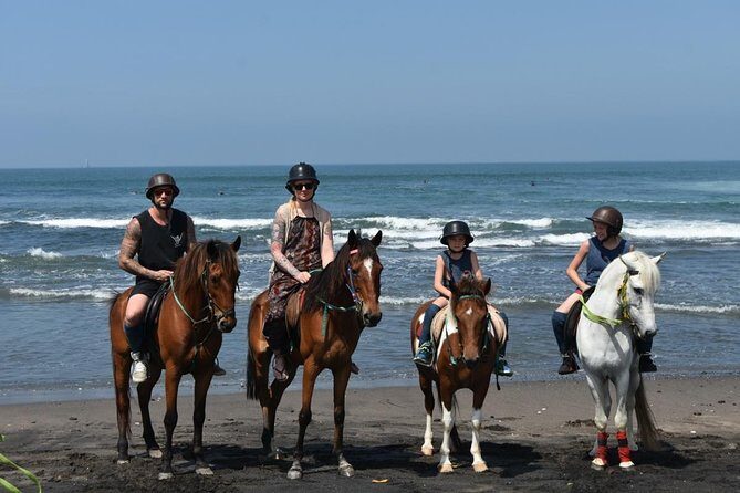 Amazing Private Tour: Horse riding-Kintamani volcano-Tegalalang-Tirta empul - An In-Depth Look at the Tour