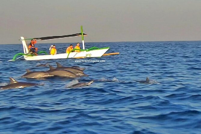 Amazing Private Tours: Dolphins Lovina and Gitgit Waterfall include Lunch - Final Thoughts: Is This Tour for You?