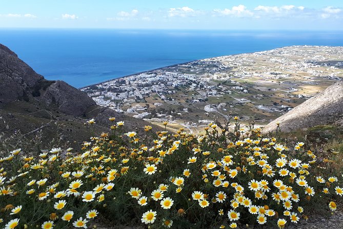 Amazing sightseeing in Santorini 2022 - What Travelers Are Saying