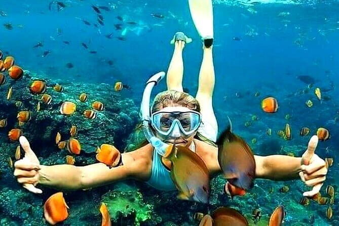 Amazing Snorkeling at Blue Lagoon - Key Points