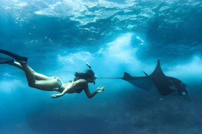 Amazing Snorkeling at Blue Lagoon - Who Should Book This Tour?