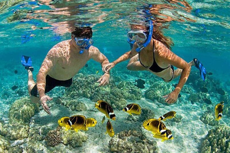 Amazing Snorkeling at Cham Island - FAQs