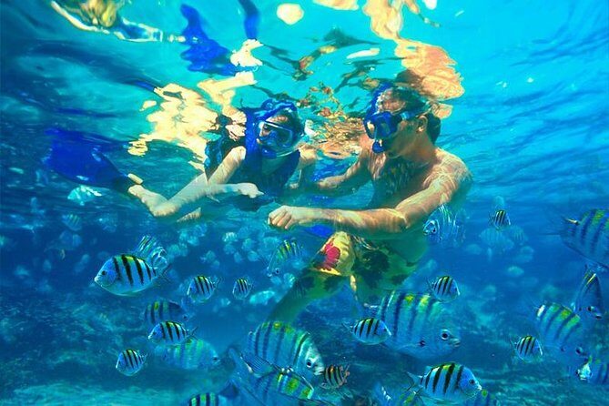 Amazing snorkeling full-day tour to Cozumel Cielo Starfish Reef - What the Tour Includes and What It Doesn’t