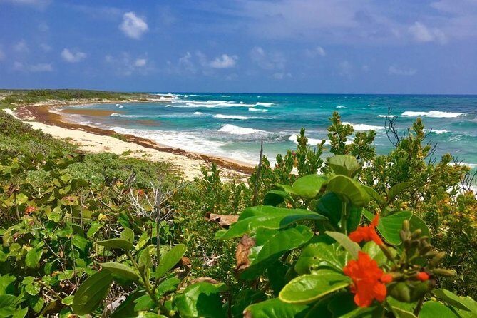 Amazing snorkeling full-day tour to Cozumel Cielo Starfish Reef - Logistics and Practical Tips