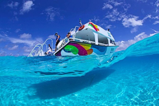 Amazing snorkeling full-day tour to Cozumel Cielo Starfish Reef - FAQ