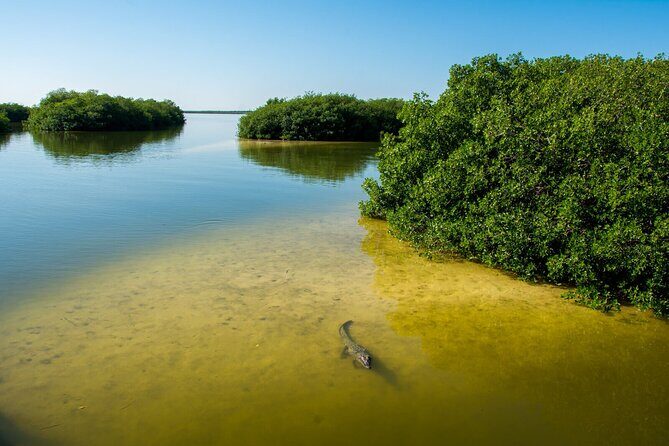 Amazing Tour in Sian Kaan biosphere with Transportation from Cancún! - Who Will Love This Tour?