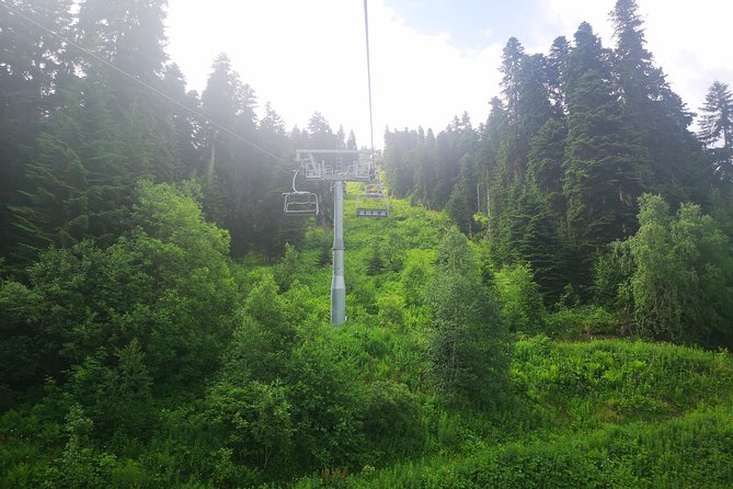 Amazing Trip to Svaneti - 7 days for 1-4 person - Cultural and Architectural Gems in Western Georgia