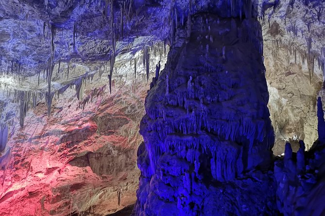 Amazing Trip to Svaneti - 7 days for 1-4 person - Overall Value and Practicalities