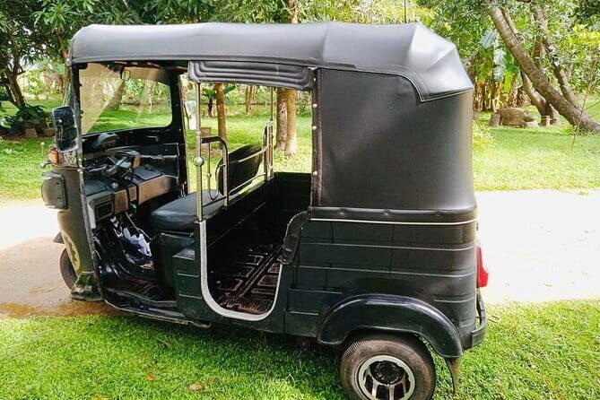 Amazing Tuk-Tuk Day Tour in Ella - Who Should Consider This Tour?