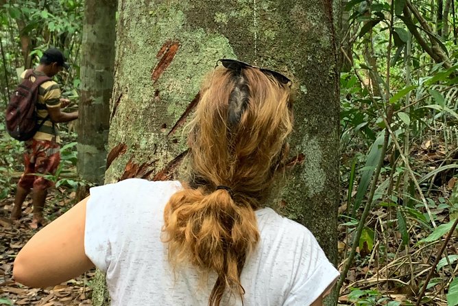 Amazon Jungle Experience With Overnight - Visiting Ruinas De Paricatuba