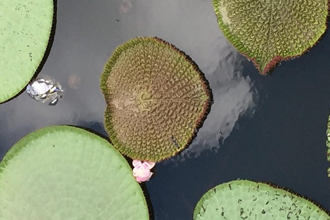 Amazon Jungle Experience With Overnight - Guest Experiences and Feedback